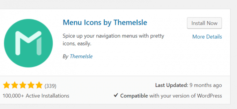 [Step by Step] How to Add WordPress Menu Icons [2024]