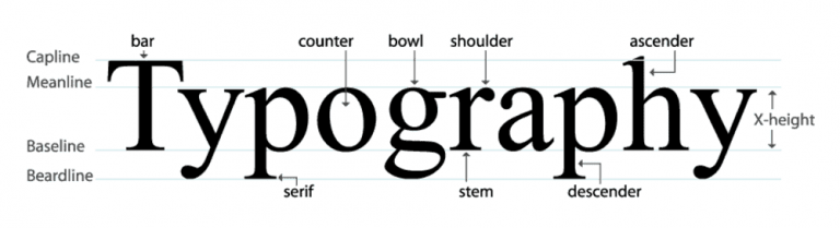 Why Typography is Important? 5 Best WordPress Typography Plugins