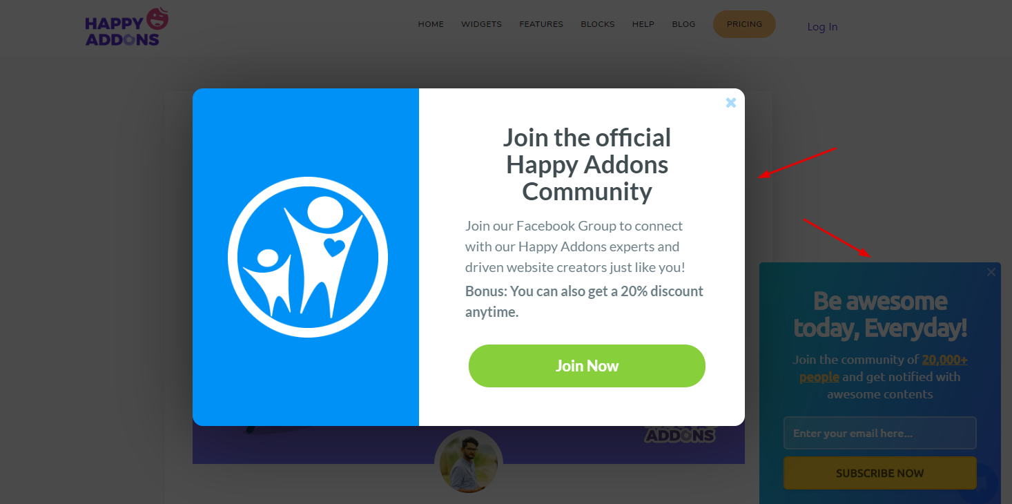 6 Best Popup Design Practices to Get Desired Leads - WP Hive