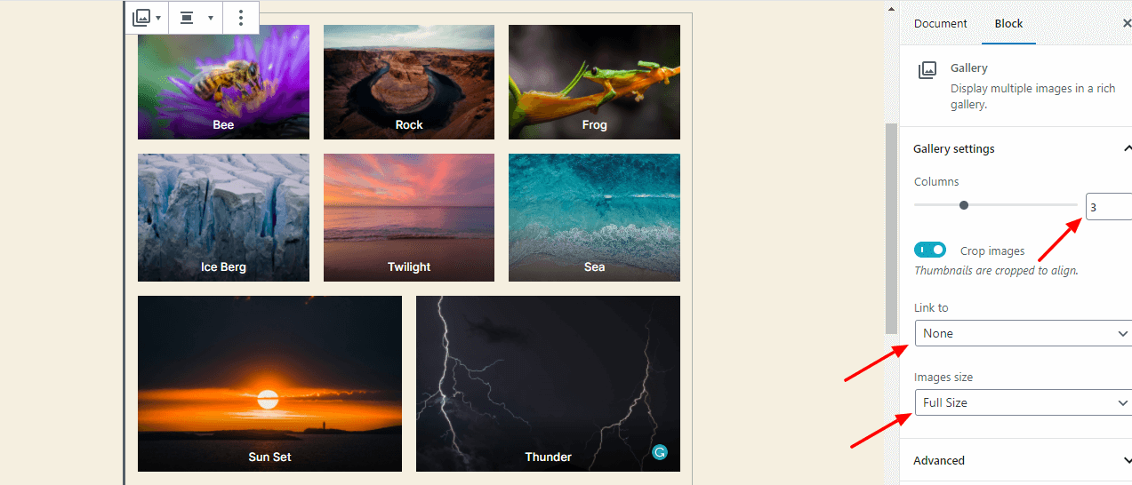 How to Create a WordPress Photo Gallery (Step By Step Guide)