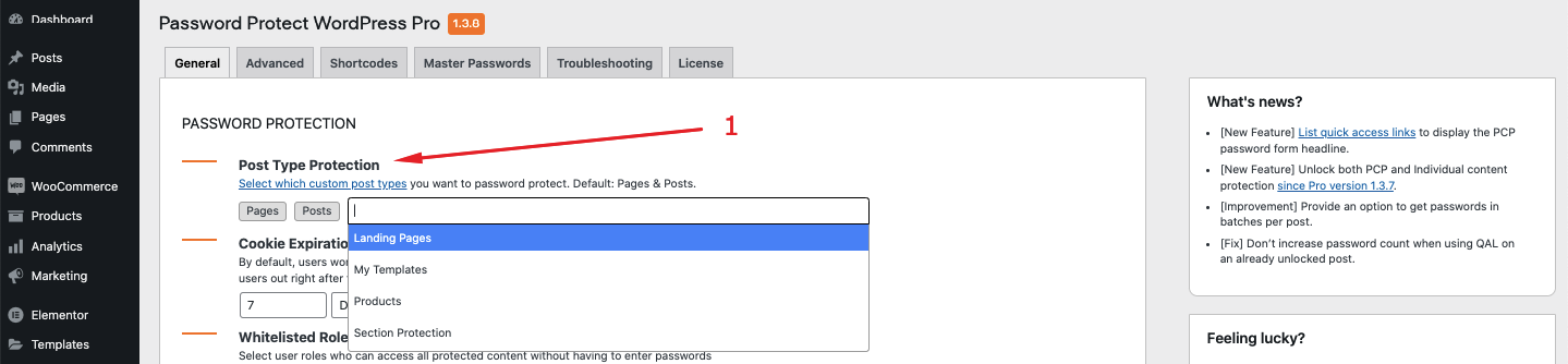 An Honest Review of Password Protect WordPress Plugin - WP Hive