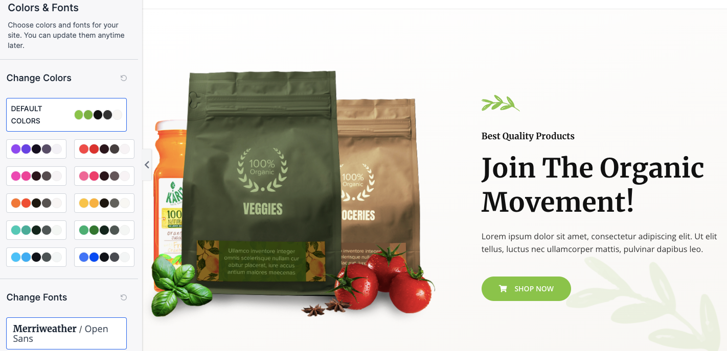 20+ Best Astra Templates in 2024 and How to Use Them