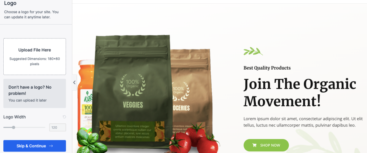 20+ Best Astra Templates and How to Use Them