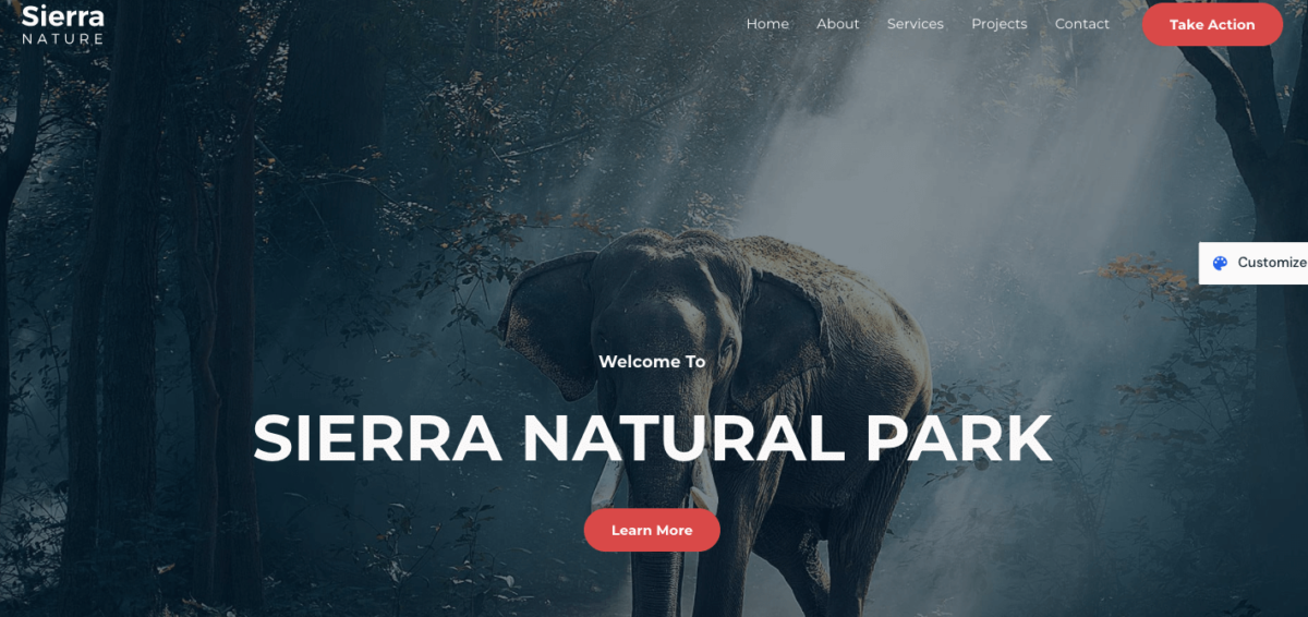 20+ Best Astra Templates and How to Use Them