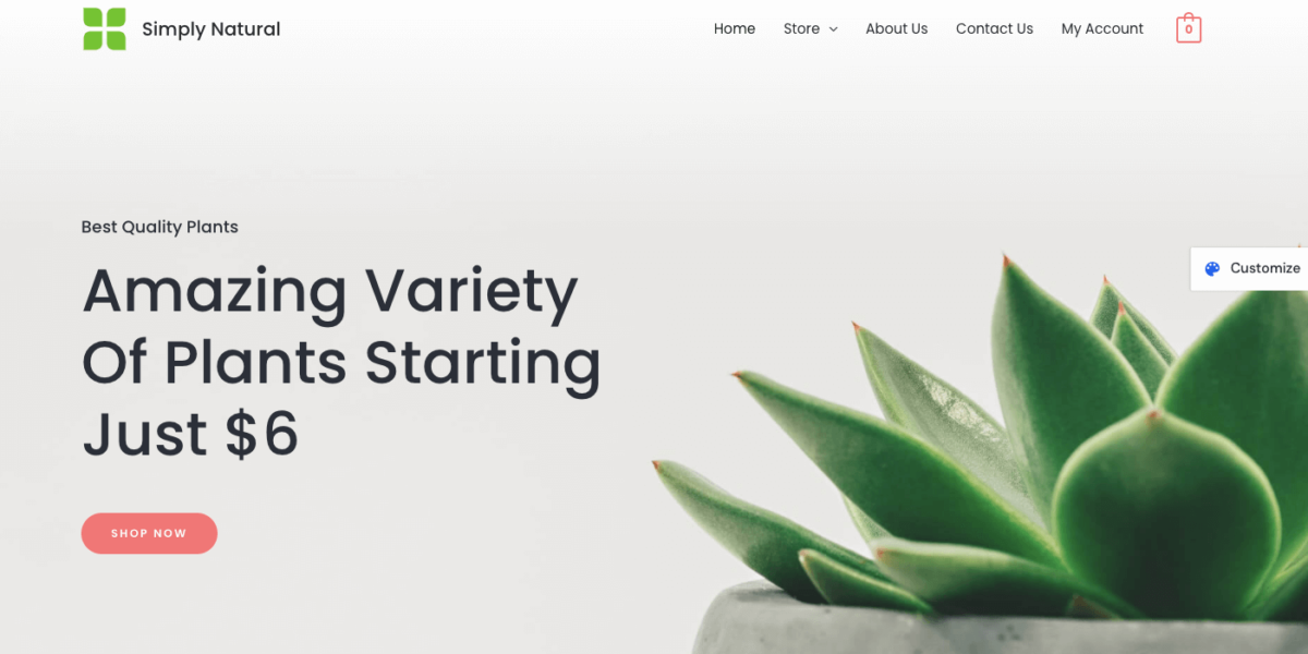 20+ Best Astra Templates and How to Use Them