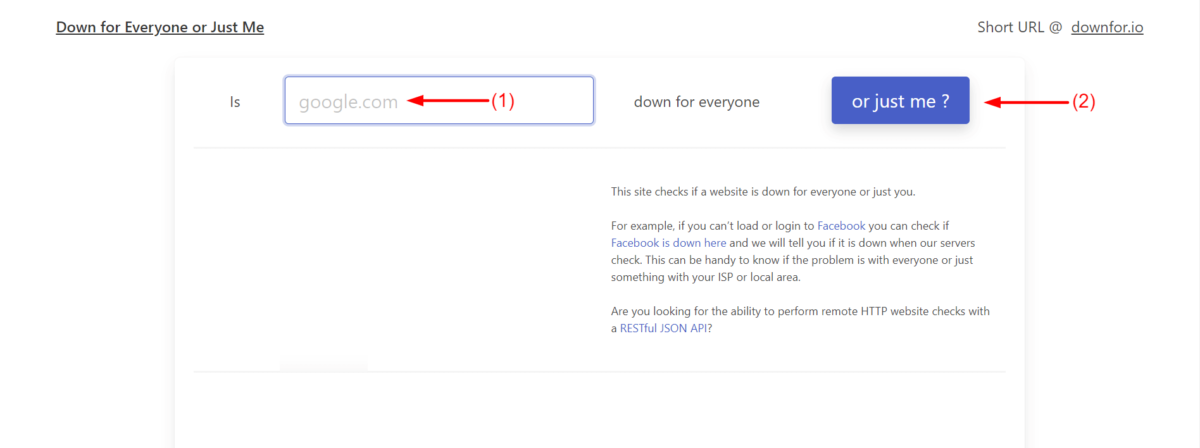 Is WordPress Down? Tips to Check and Prevent It - WP Hive