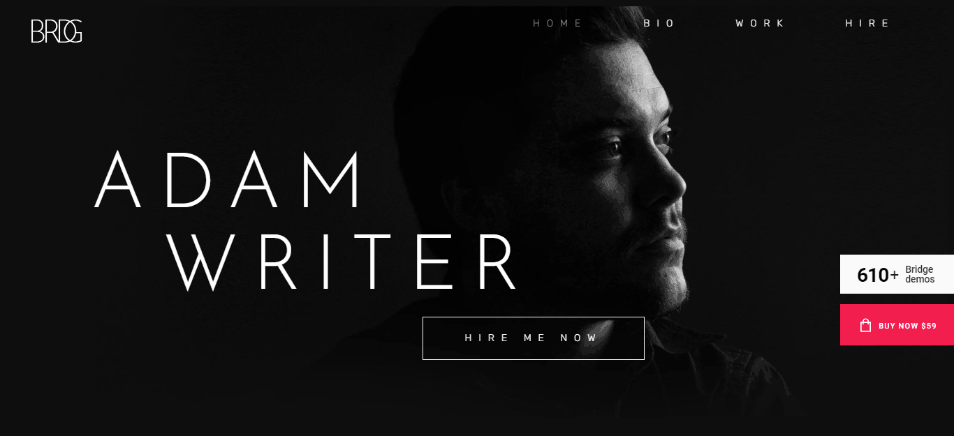 10+ Best WordPress Themes for Writers (Free and Premium)